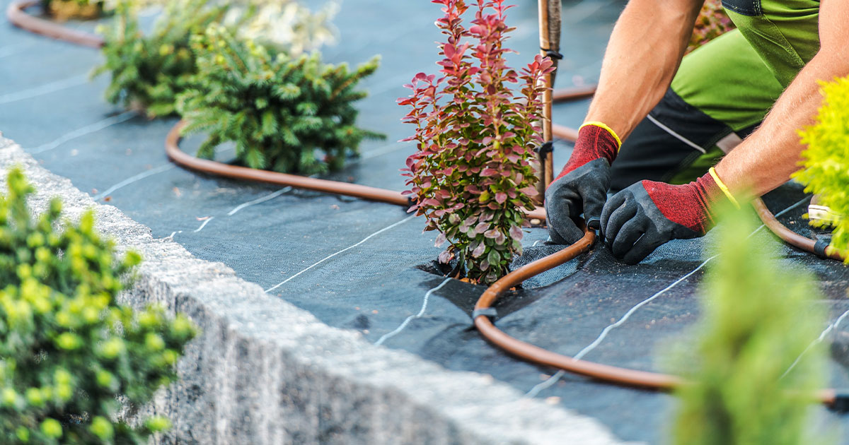 Irrigation System Installation and Repair in Winter Springs